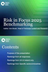 Risk in Focus 2025 Benchmarking